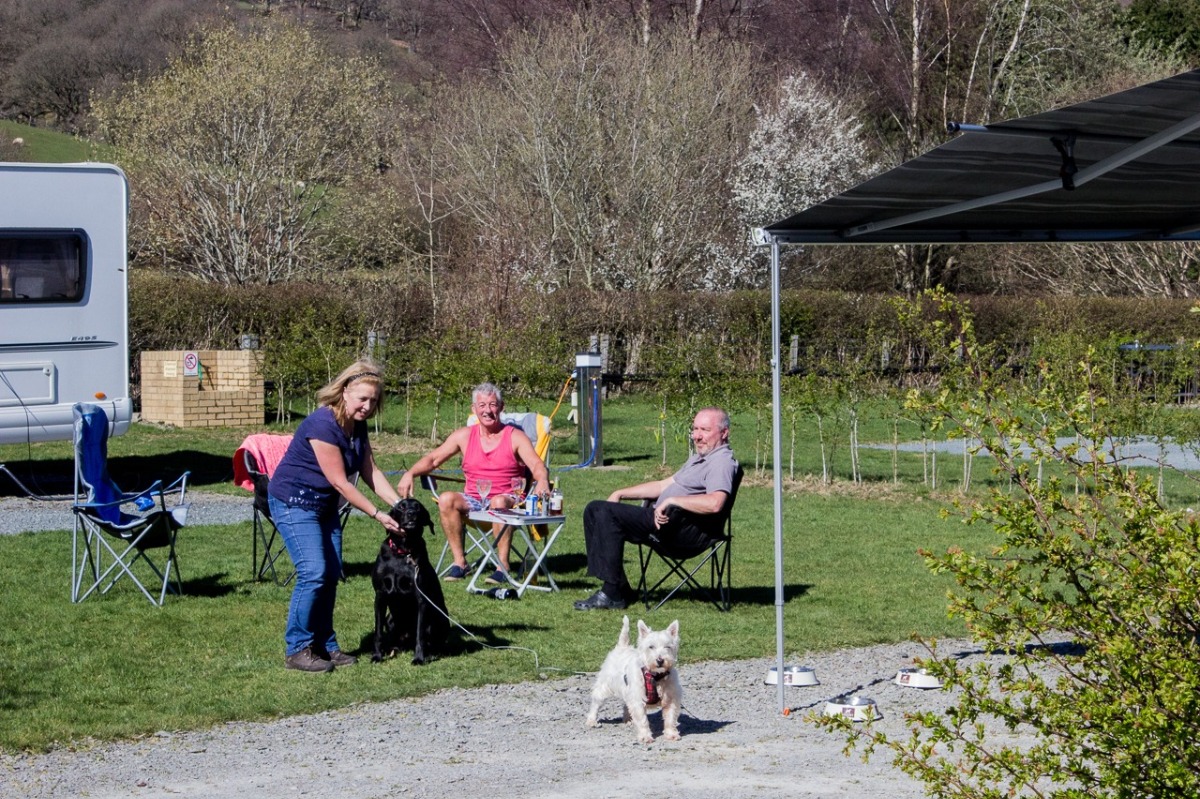 Elan Oaks - camping and caravan site